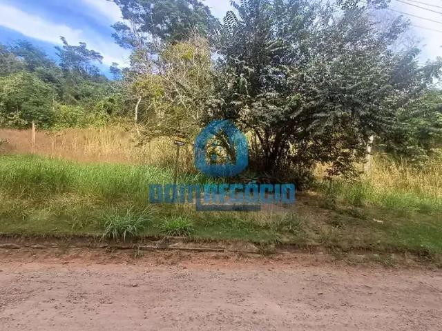 Terreno / Lote para Venda em Governador Valadares/MG Parque Ibituruna