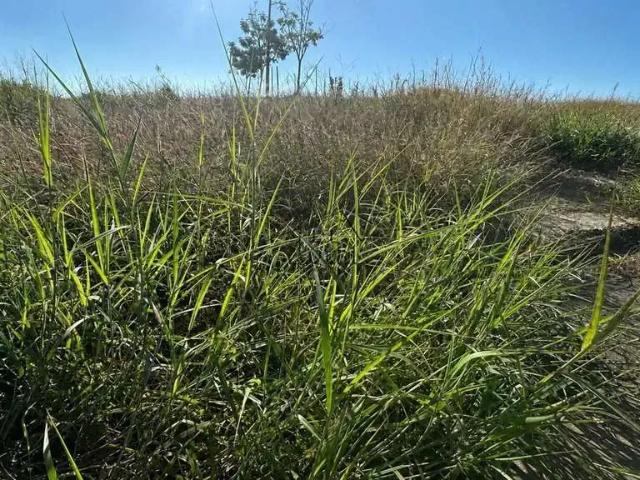 Terreno / Lote para Venda em Governador Valadares/MG Parque Olímpico II