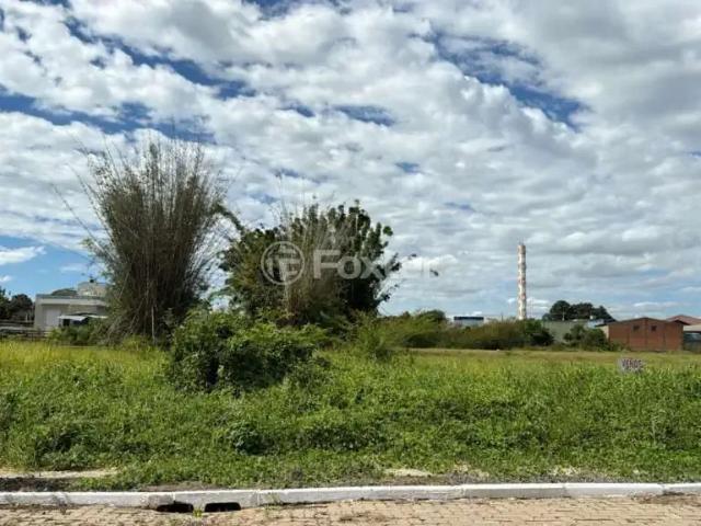Terreno / Lote para Venda em Glorinha/RS Centro