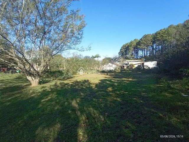 Terreno / Lote para Venda em Gravataí/RS Mato Alto