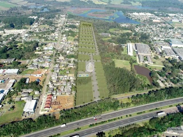 Terreno / Lote para Venda em Gravataí/RS Mato Alto