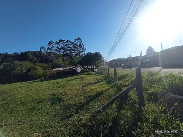 Terreno / Lote para Venda em Gravataí/RS Mato Alto