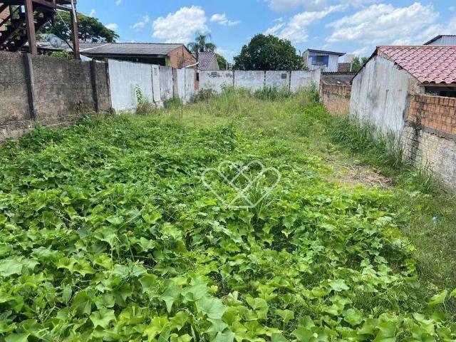 Terreno / Lote para Venda em Gravataí/RS Monte Belo