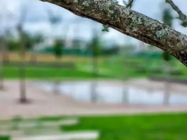 Terreno / Lote para Venda em Gravataí/RS Morada Gaúcha