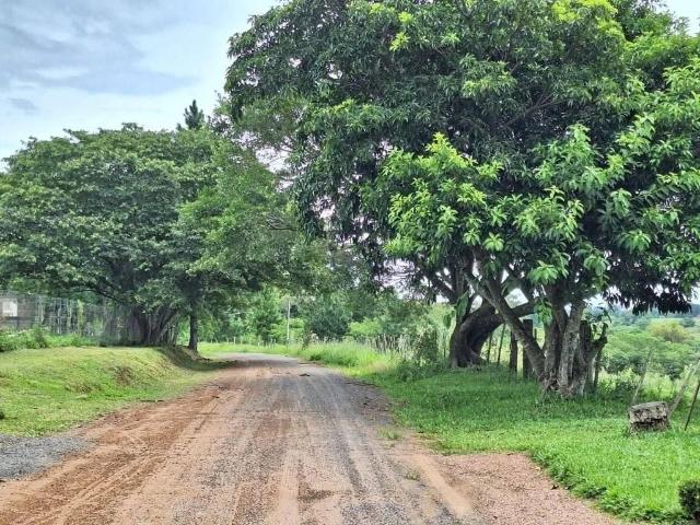 Terreno / Lote para Venda em Gravataí/RS Morada Gaúcha