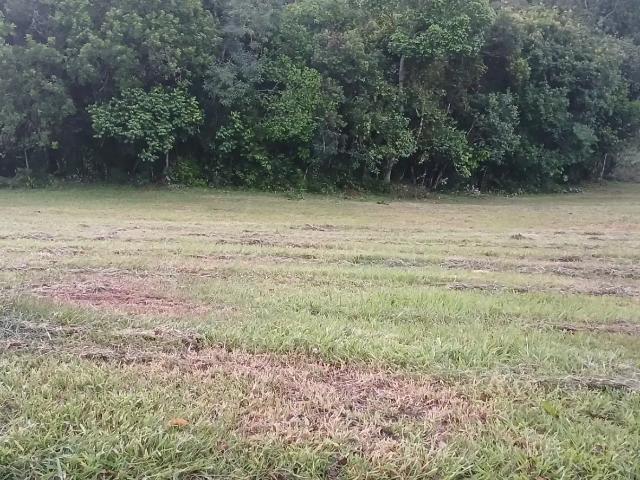 Terreno / Lote para Venda em Gravataí/RS Morungava Distrito