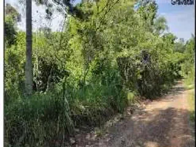Terreno / Lote para Venda em Gravataí/RS Morungava Distrito