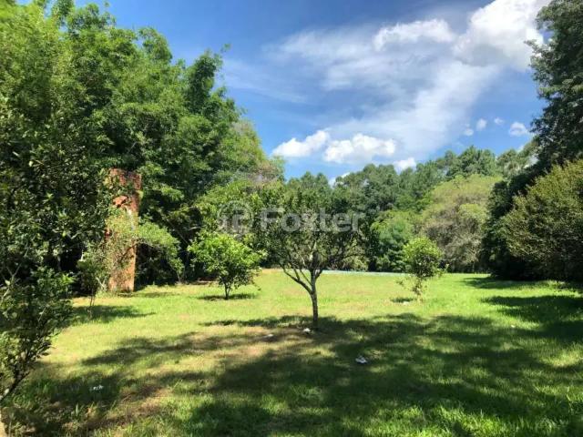 Terreno / Lote para Venda em Gravataí/RS Morungava Distrito 5 Quartos