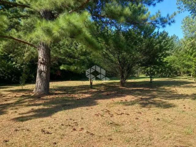 Terreno / Lote para Venda em Gravataí/RS Morungava Distrito