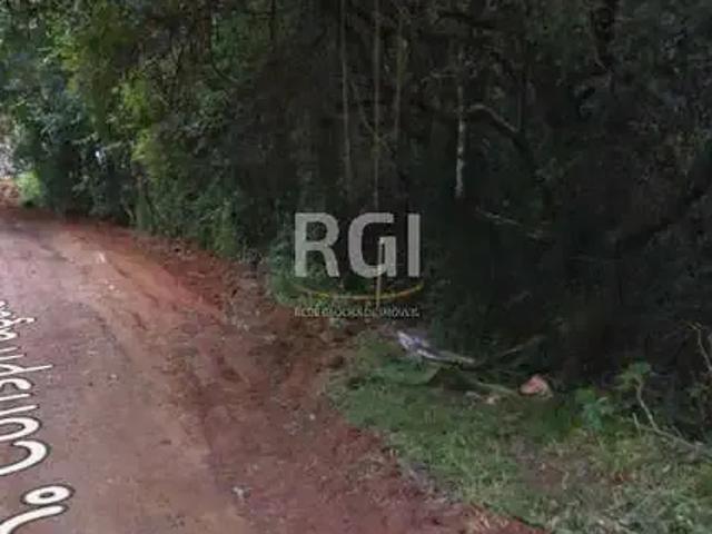 Terreno / Lote para Venda em Gravataí/RS Natal
