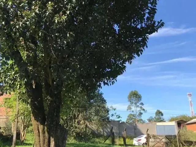 Terreno / Lote para Venda em Gravataí/RS Neópolis