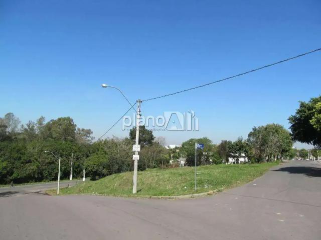 Terreno / Lote para Venda em Gravataí/RS Oriço
