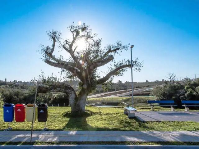 Terreno / Lote para Venda em Gravataí/RS Oriço