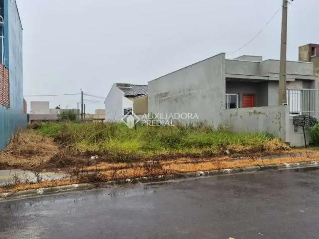 Terreno / Lote para Venda em Gravataí/RS Oriço