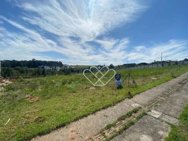 Terreno / Lote para Venda em Gravataí/RS Oriço