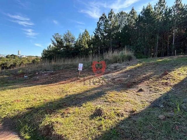 Terreno / Lote para Venda em Gravataí/RS Oriço