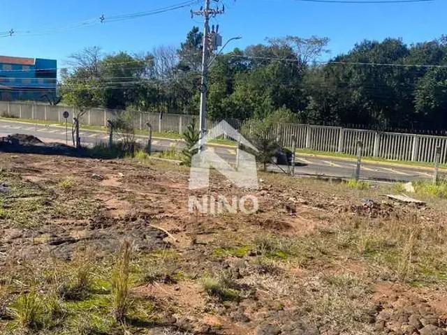 Terreno / Lote para Venda em Gravataí/RS Oriço