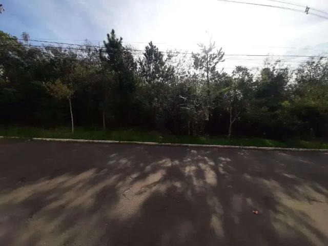 Terreno / Lote para Venda em Gravataí/RS Oriço