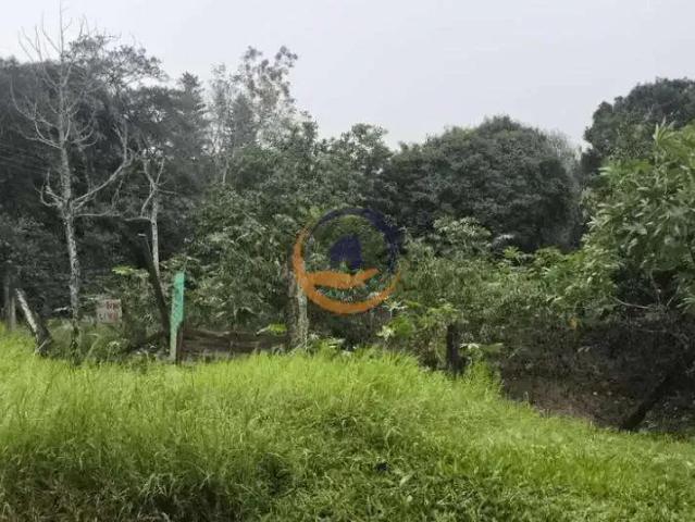 Terreno / Lote para Venda em Gravataí/RS Águas Mortas