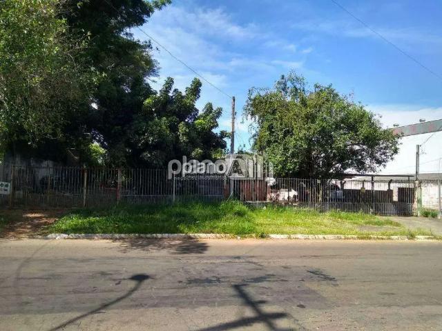 Terreno / Lote para Venda em Gravataí/RS Barnabé