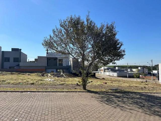 Terreno / Lote para Venda em Gravataí/RS Bela Vista