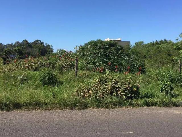 Terreno / Lote para Venda em Gravataí/RS Bom Sucesso