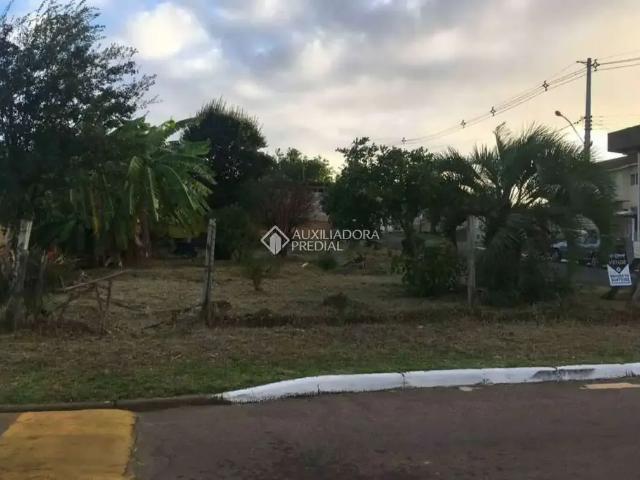 Terreno / Lote para Venda em Gravataí/RS Bom Sucesso