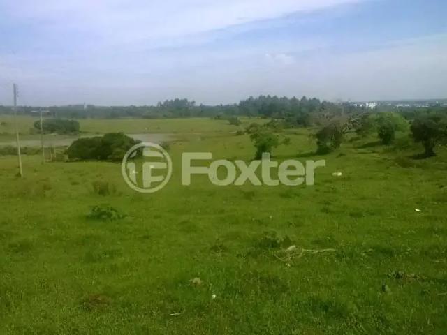 Terreno / Lote para Venda em Gravataí/RS Cadiz