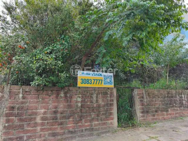 Terreno / Lote para Venda em Gravataí/RS Centro