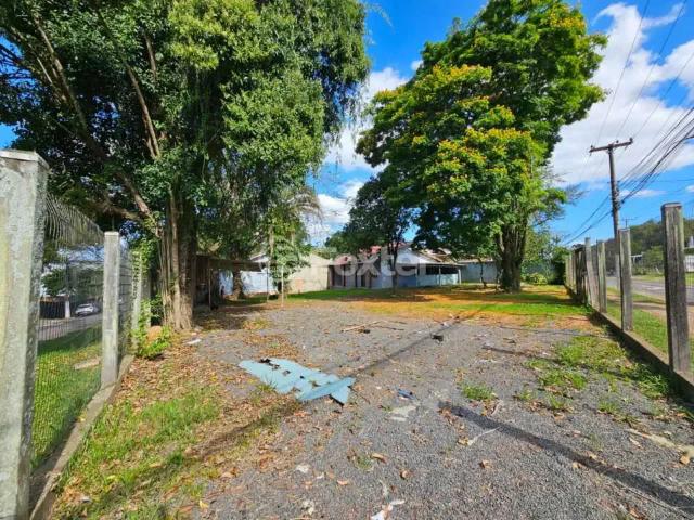 Terreno / Lote para Venda em Gravataí/RS Centro