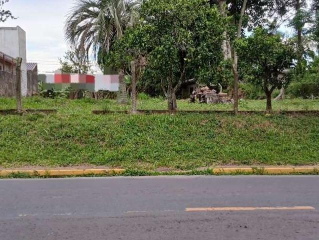 Terreno / Lote para Venda em Gravataí/RS Centro