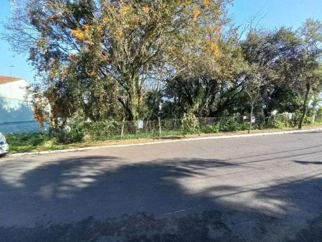 Terreno / Lote para Venda em Gravataí/RS Centro