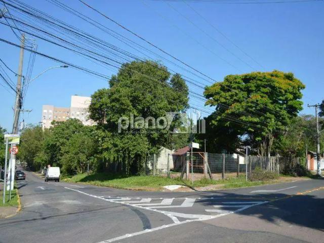 Terreno / Lote para Venda em Gravataí/RS Centro
