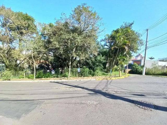 Terreno / Lote para Venda em Gravataí/RS Centro