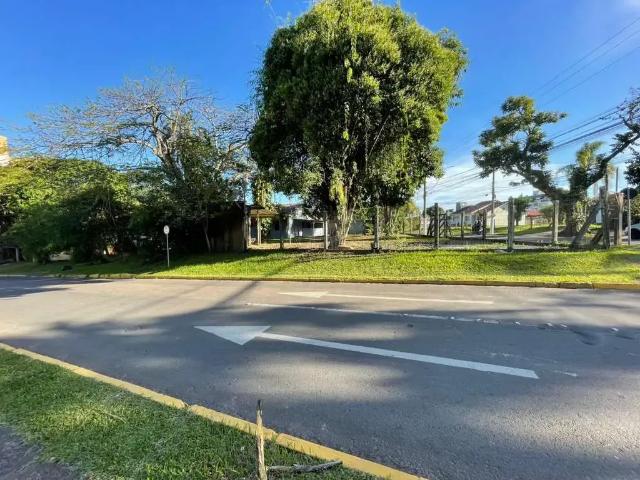 Terreno / Lote para Venda em Gravataí/RS Centro