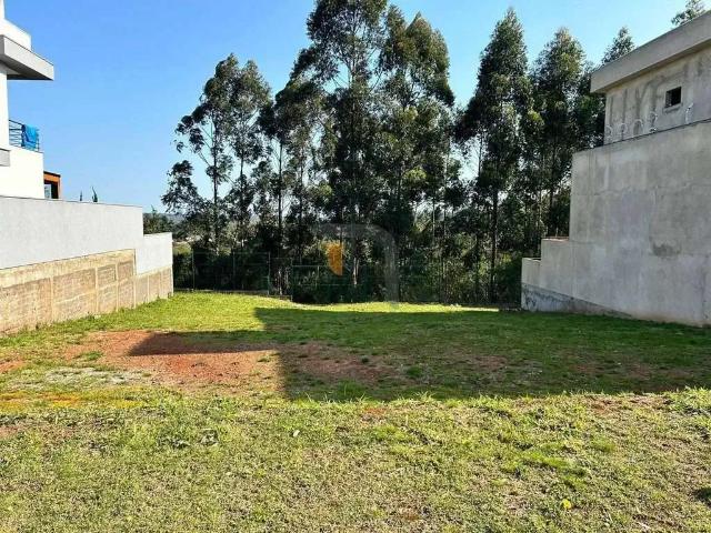 Terreno / Lote para Venda em Gravataí/RS Centro