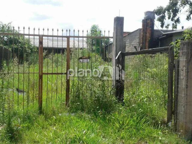 Terreno / Lote para Venda em Gravataí/RS Centro