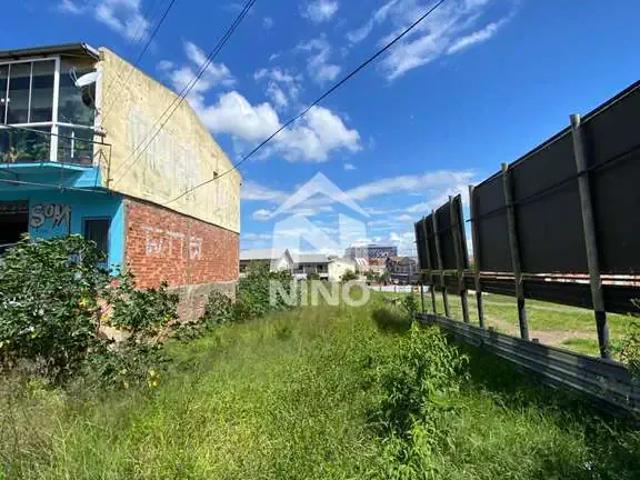 Terreno / Lote para Venda em Gravataí/RS COHAB C