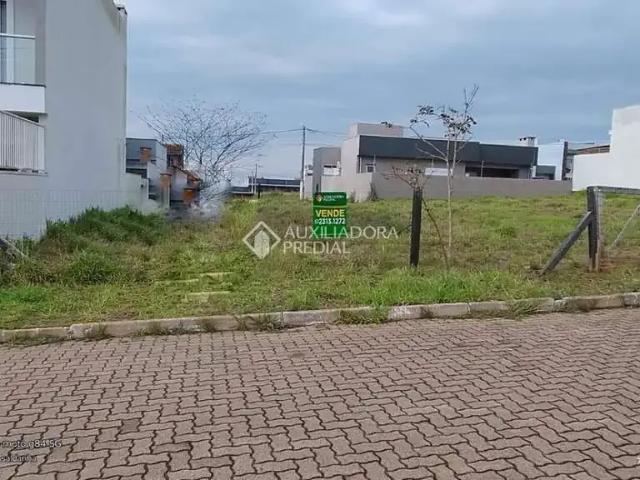 Terreno / Lote para Venda em Gravataí/RS Dom Feliciano