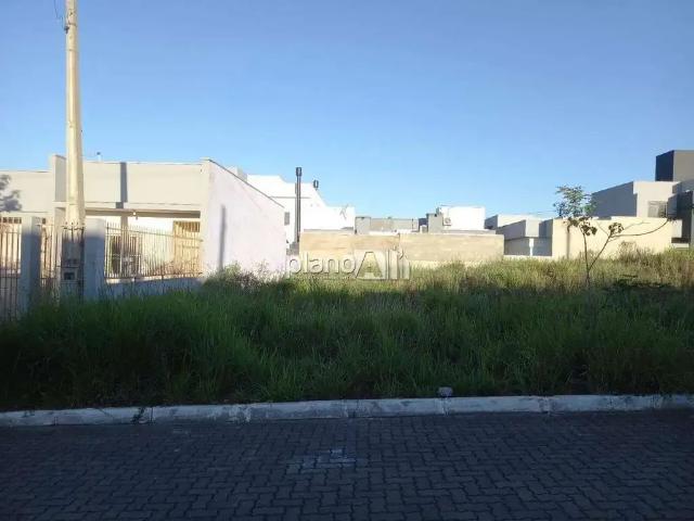 Terreno / Lote para Venda em Gravataí/RS Dom Feliciano