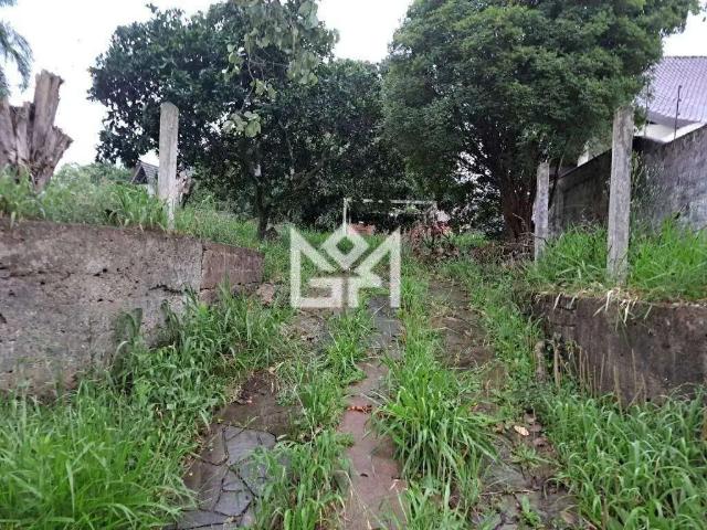 Terreno / Lote para Venda em Gravataí/RS Dom Feliciano