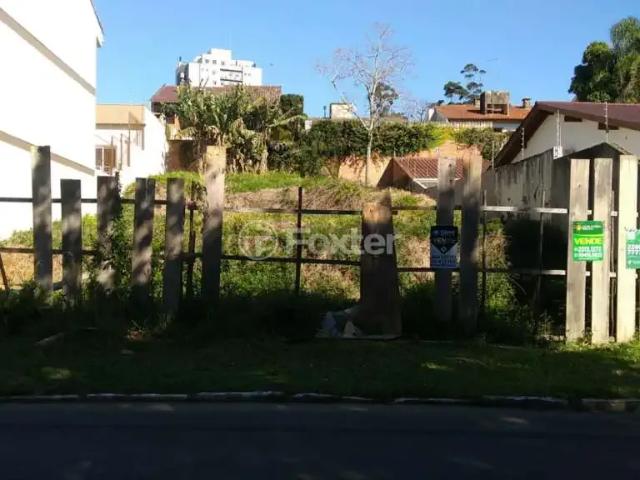 Terreno / Lote para Venda em Gravataí/RS Dom Feliciano