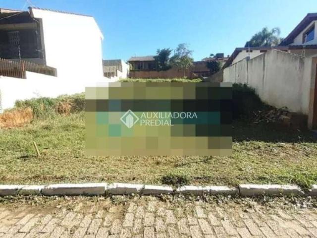 Terreno / Lote para Venda em Gravataí/RS Dom Feliciano