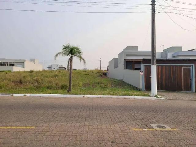 Terreno / Lote para Venda em Gravataí/RS Dom Feliciano