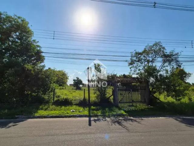 Terreno / Lote para Venda em Gravataí/RS Dona Mercedes