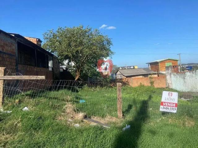 Terreno / Lote para Venda em Gravataí/RS Loteamento Auxiliadora