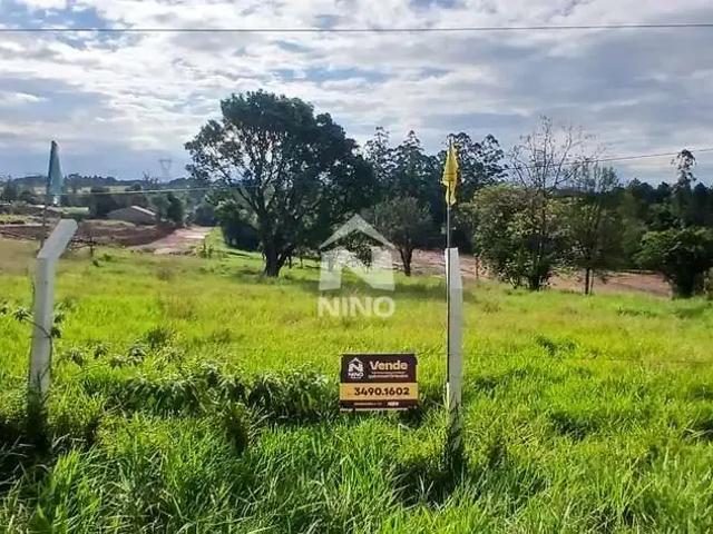 Terreno / Lote para Venda em Gravataí/RS Loteamento Rural Palermo