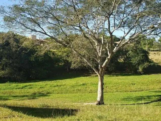 Terreno / Lote para Venda em Gravataí/RS Paragem dos Verdes Campos