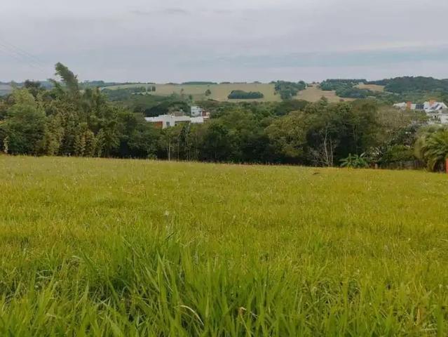 Terreno / Lote para Venda em Gravataí/RS Paragem dos Verdes Campos