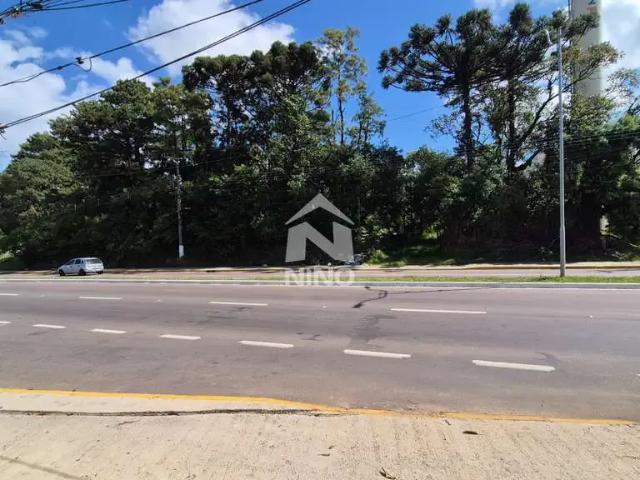 Terreno / Lote para Venda em Gravataí/RS Parque dos Anjos